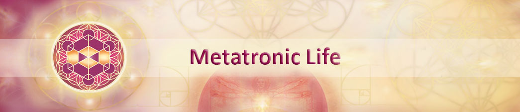 Welcome to Metatronic Life