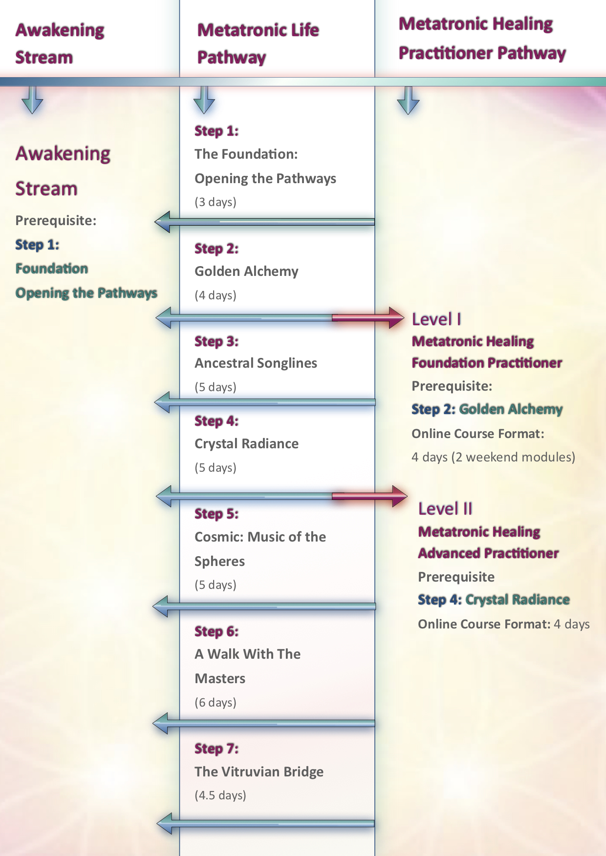 Metatronic Pathways Visual Map Metatronic Life