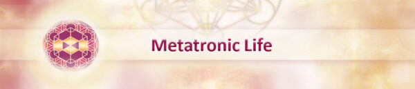 The Metatronic Pathway Metatronic Life