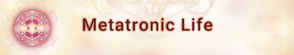 The Metatronic Pathway - Metatronic Life